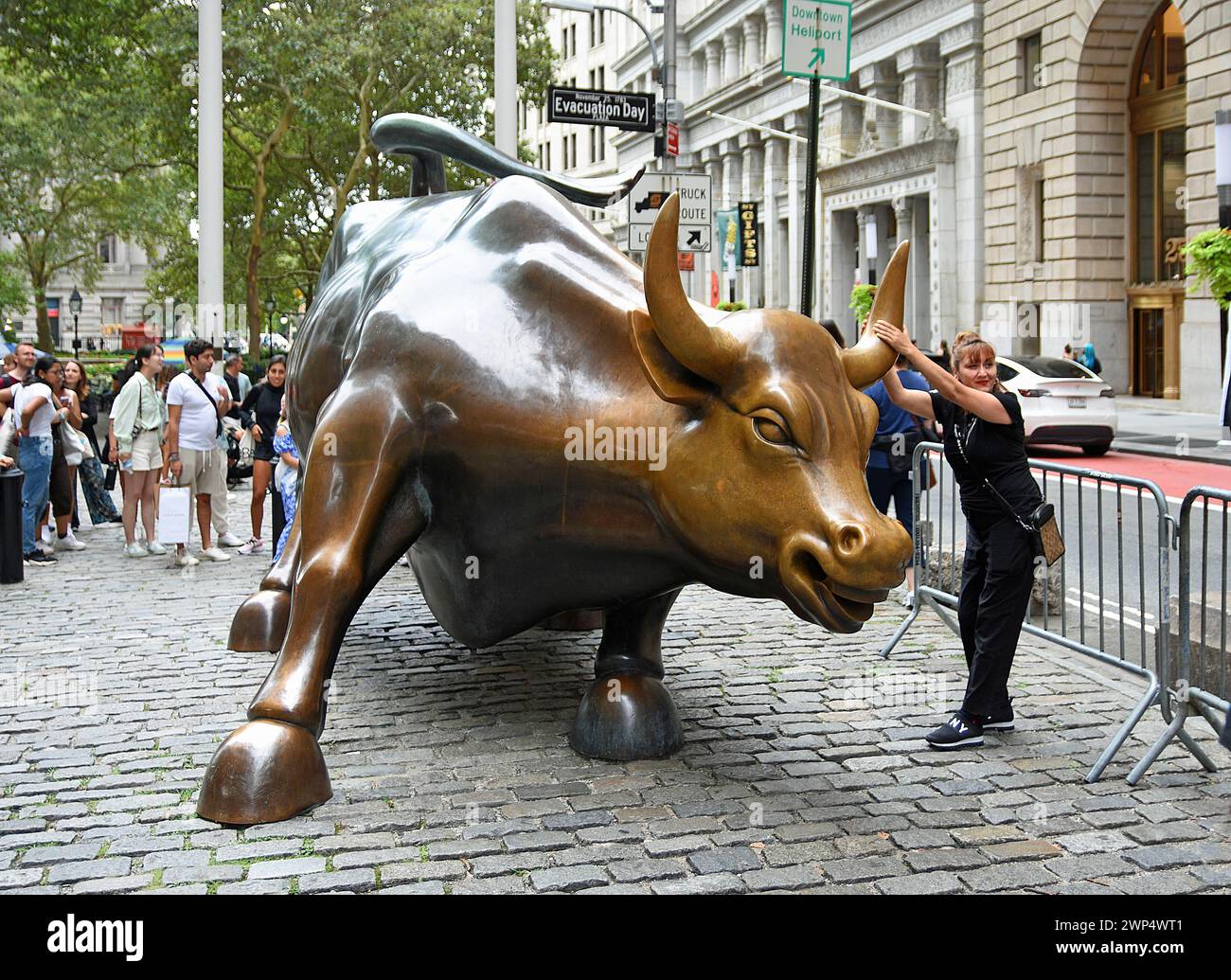 Tourist pulling on the horn of the Wall Street bull, Financial District ...