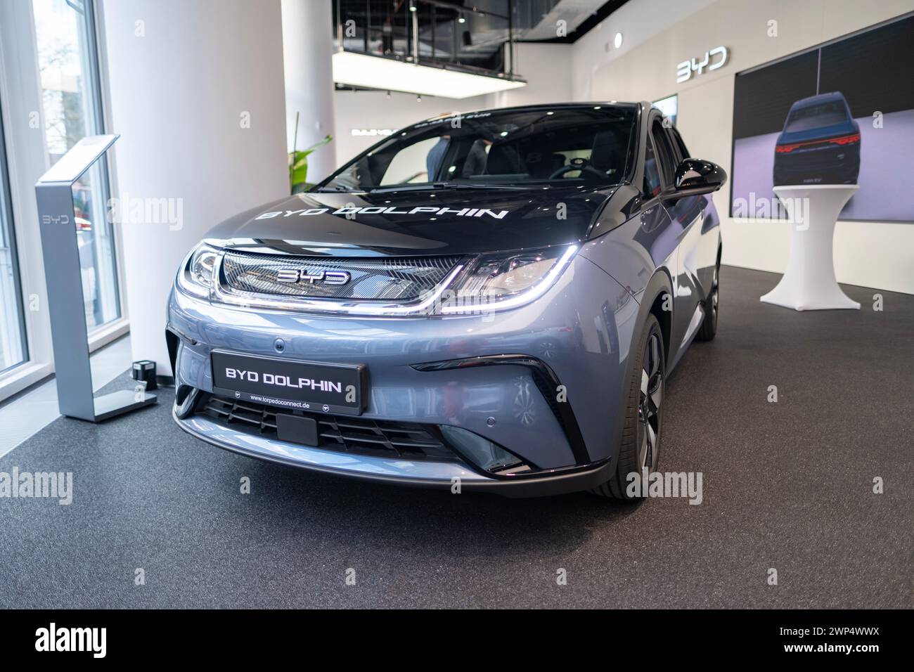 Byd dolphin hi-res stock photography and images - Alamy