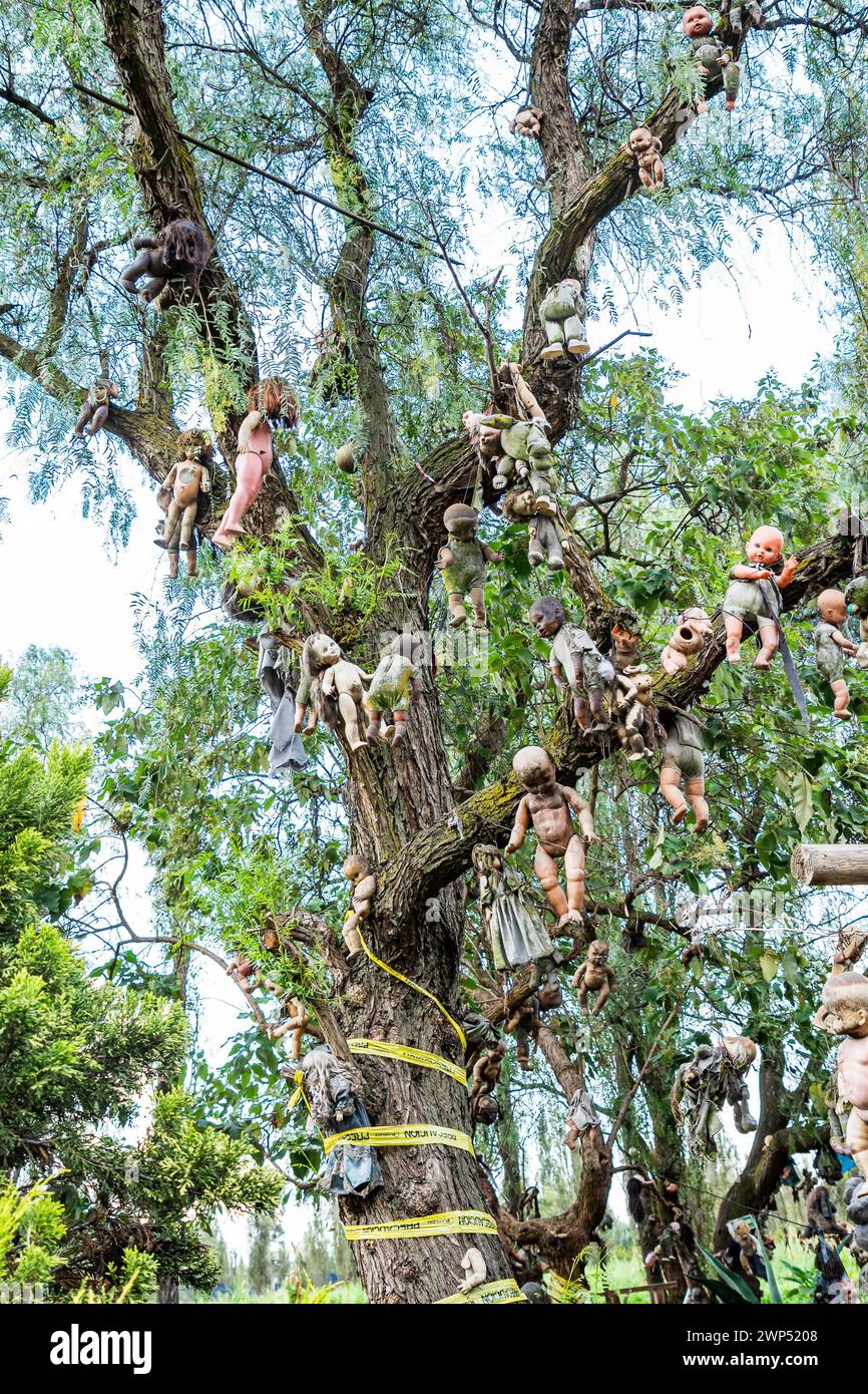 Real tree fake hi-res stock photography and images - Alamy