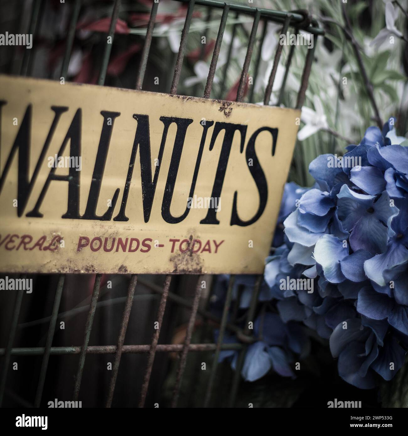 Buy local sign square hi-res stock photography and images - Alamy