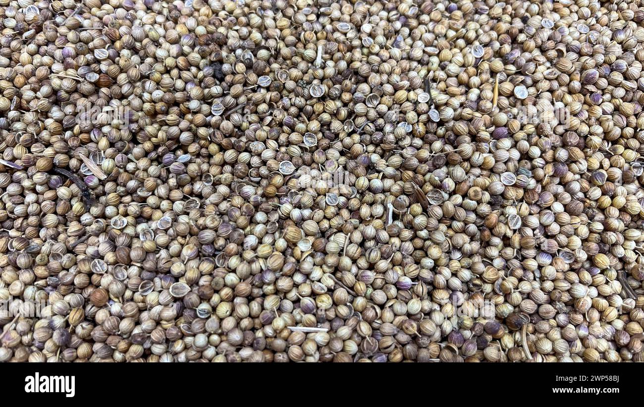 Spice market in aswan egypt hi-res stock photography and images - Alamy