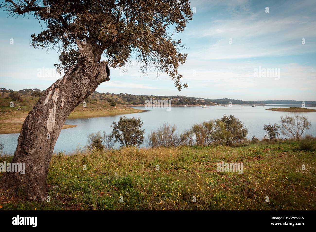Europe Portugal Nature und rural tourism Landscape of Alqueva dam in ...