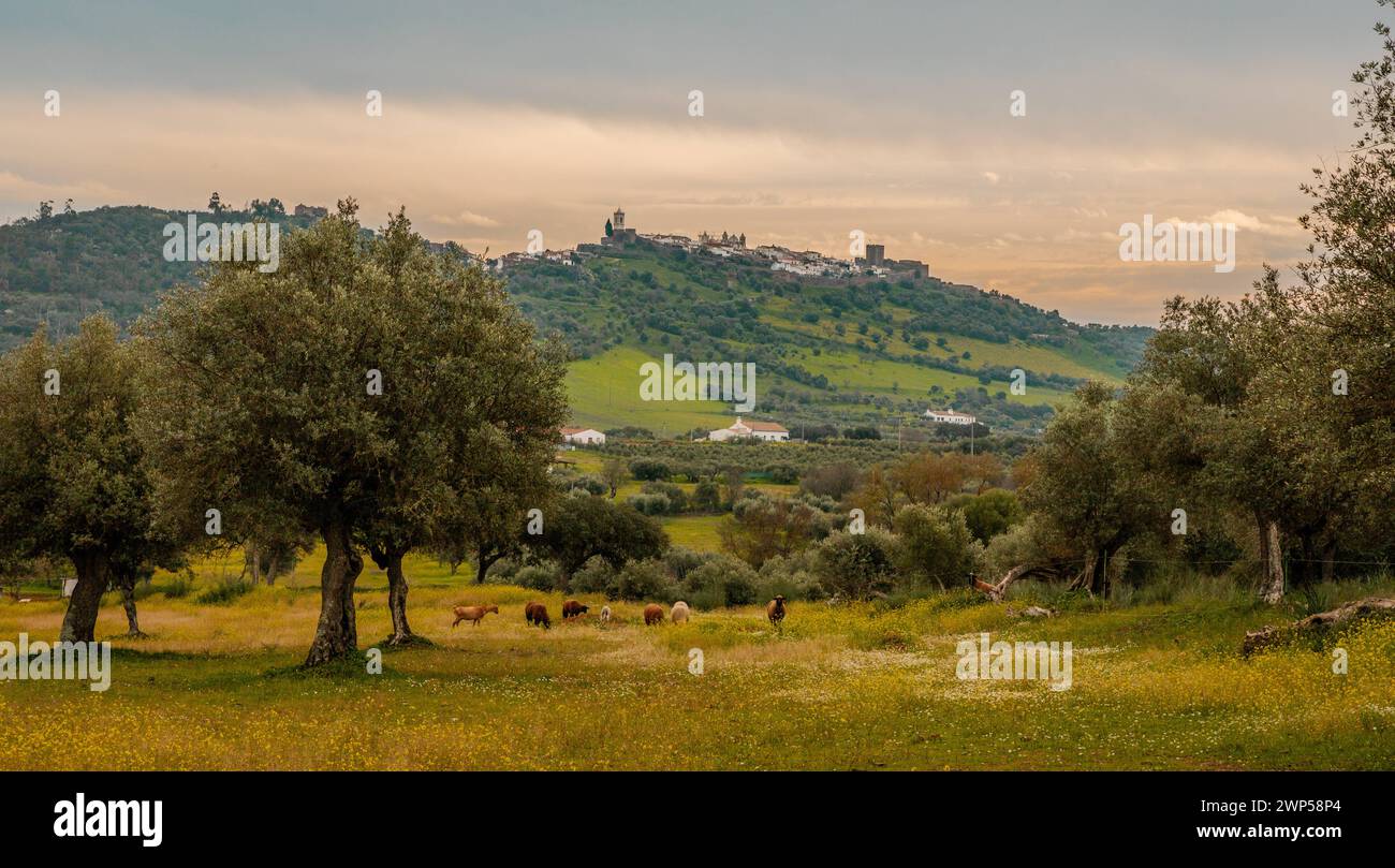 Travel Portugal beautiful places in the region Alentejo a beautiful ...