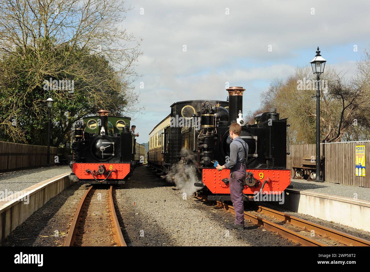 No. 8 ("Llywelyn") with a train for Devil's Bridge, crossing "Prince of ...