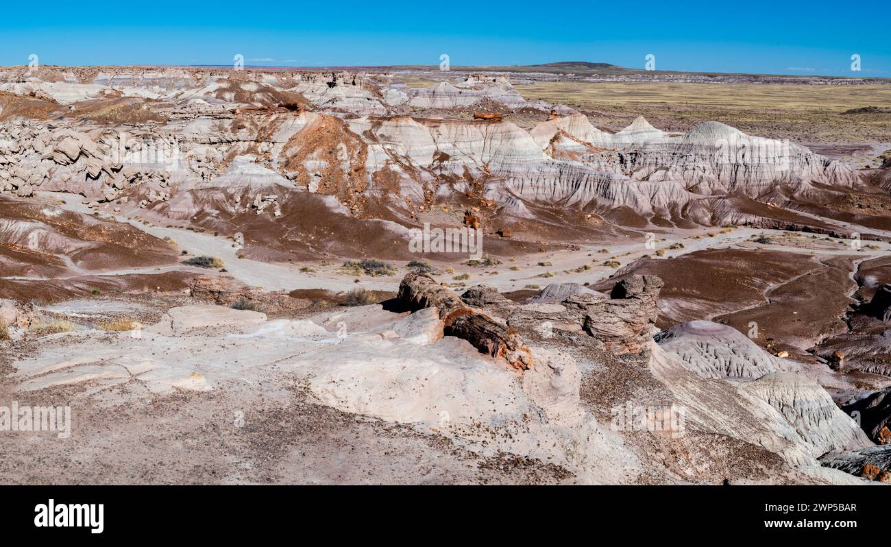 Landscape with rock formation in desert at sunset, Blue Mesa, Petrified ...