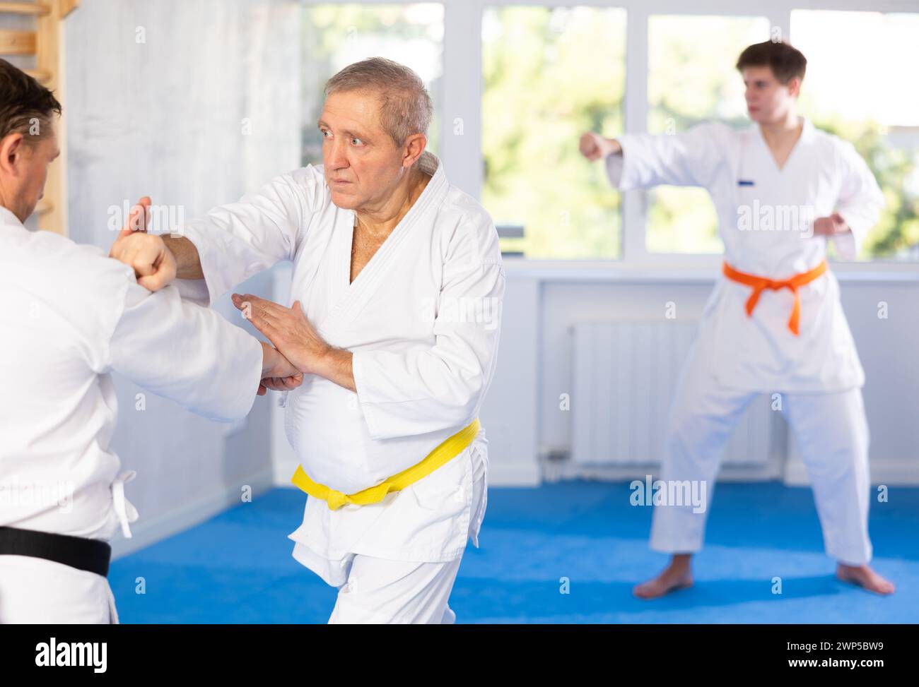Adult and elderly men training karate fight Stock Photo - Alamy