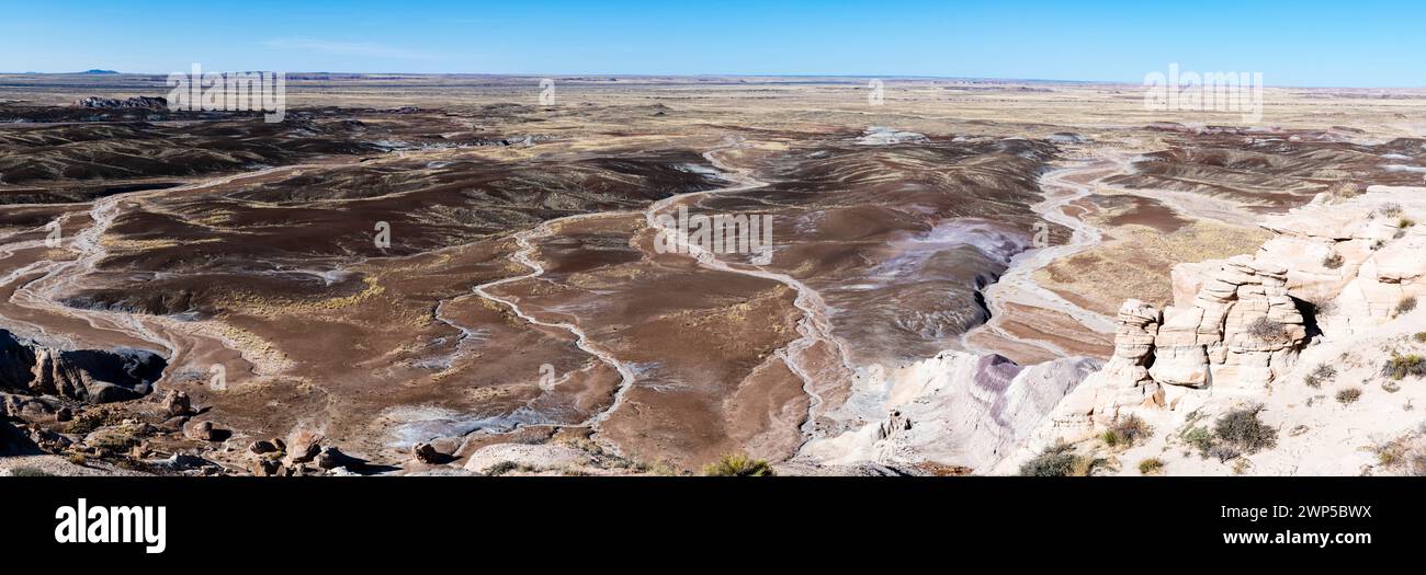 Landscape with rock formation in desert at sunset, Blue Mesa, Petrified ...