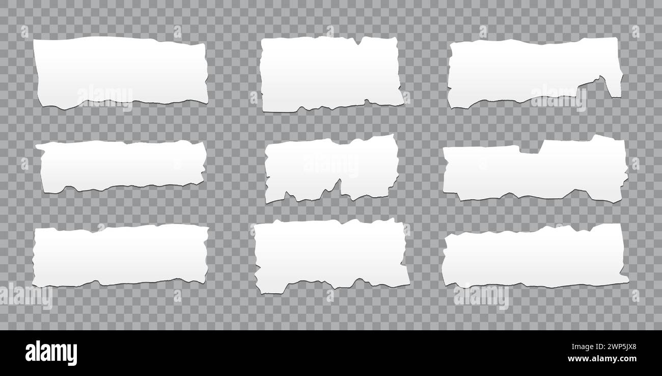 Realistic ripped different papers isolated on transparent background ...