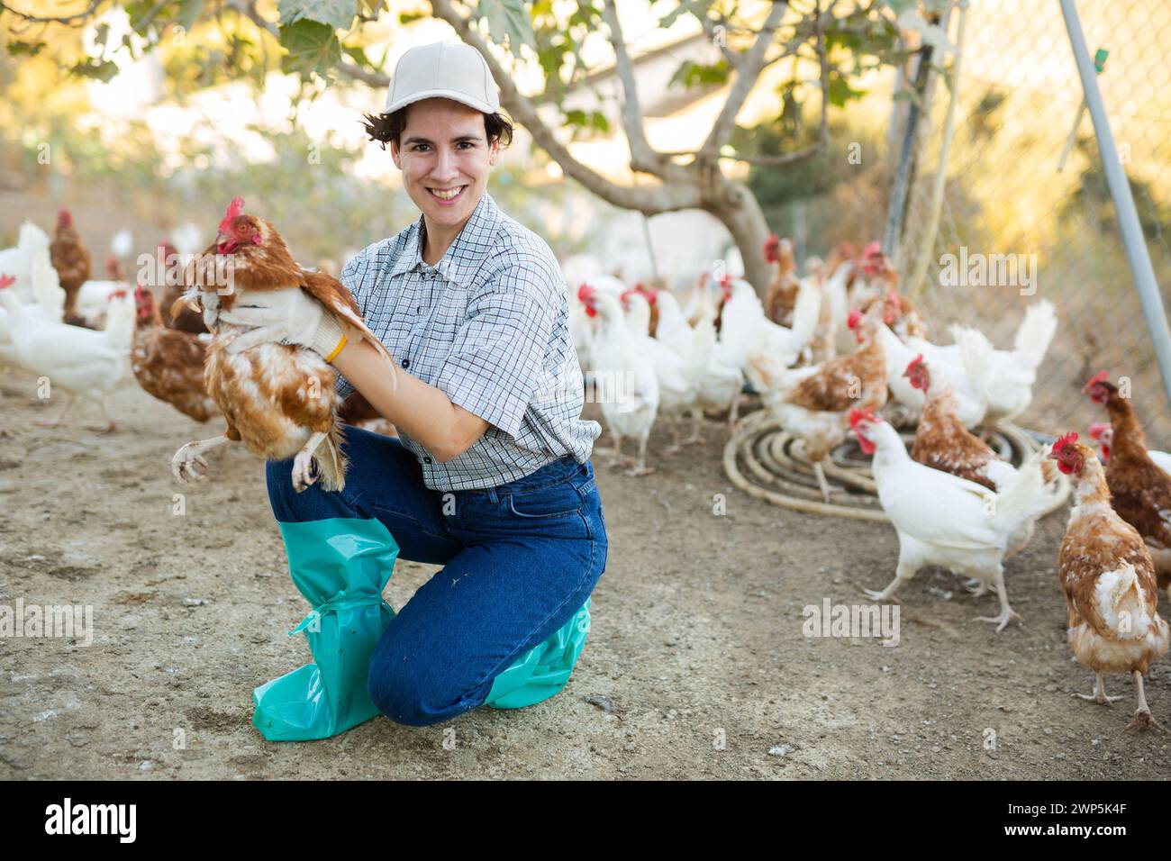 Woman holding rooster hi-res stock photography and images - Alamy