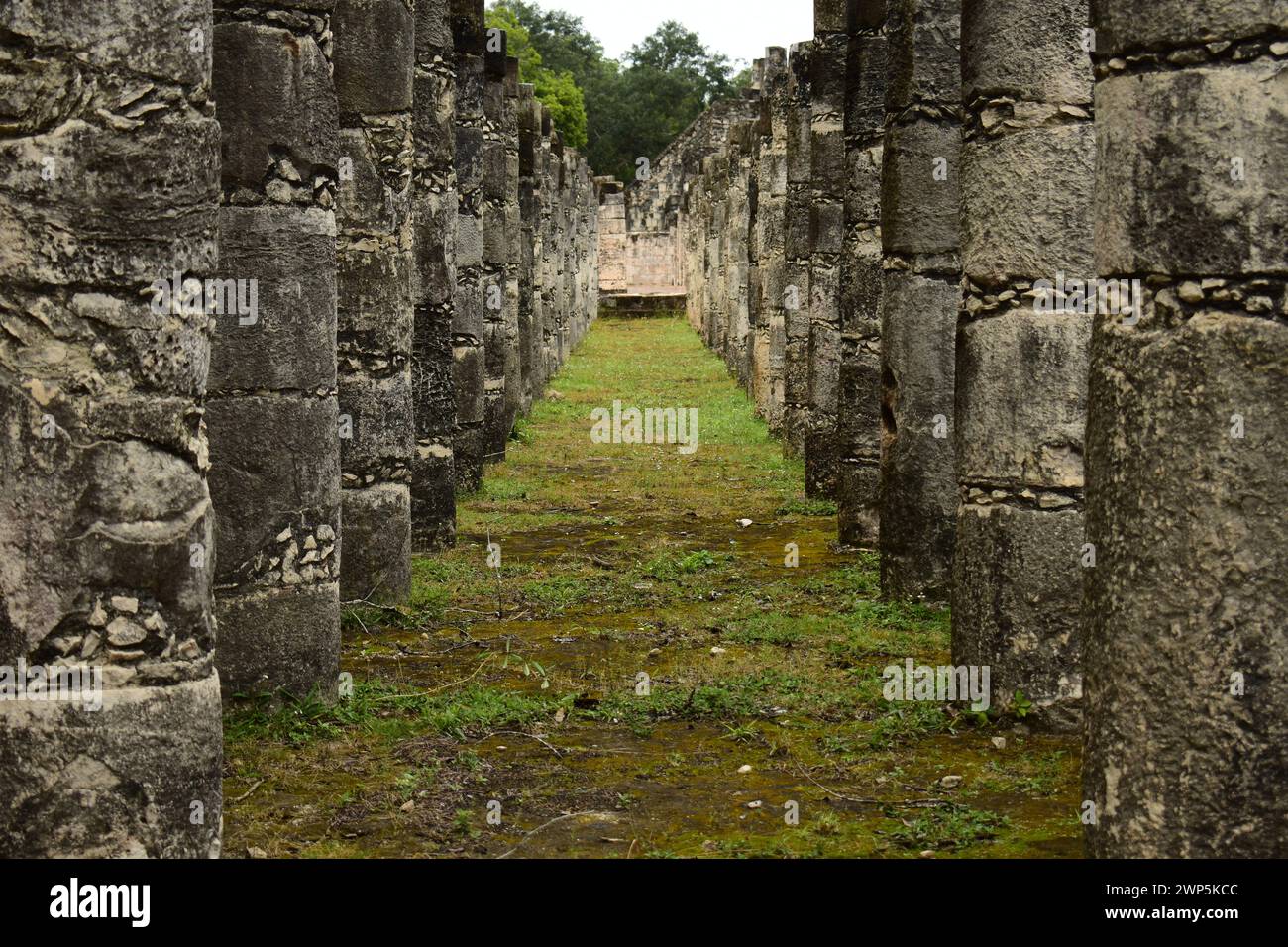 Stone pillars line the mossy aisle to ruins in Mexico Stock Photo - Alamy