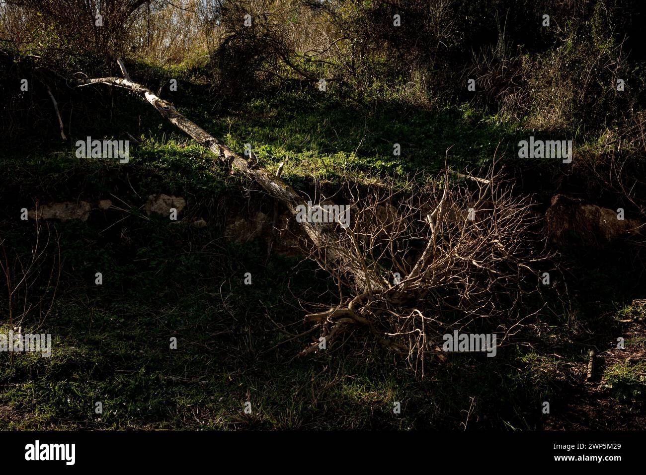 Rio fluvia hi-res stock photography and images - Alamy