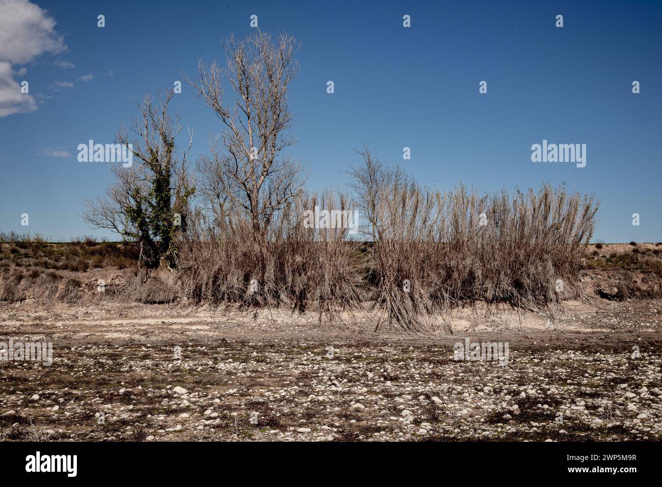 Rio fluvia hi-res stock photography and images - Alamy