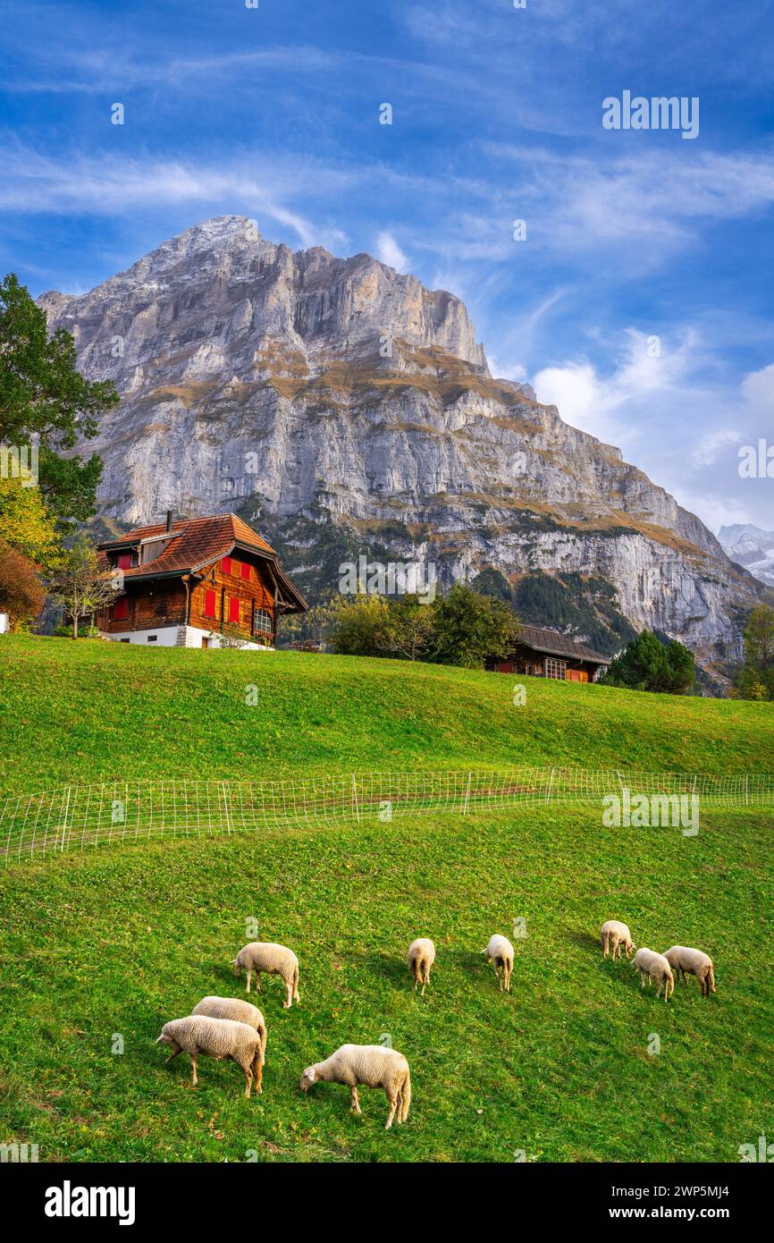 Swiss alps farmhouse hi-res stock photography and images - Alamy