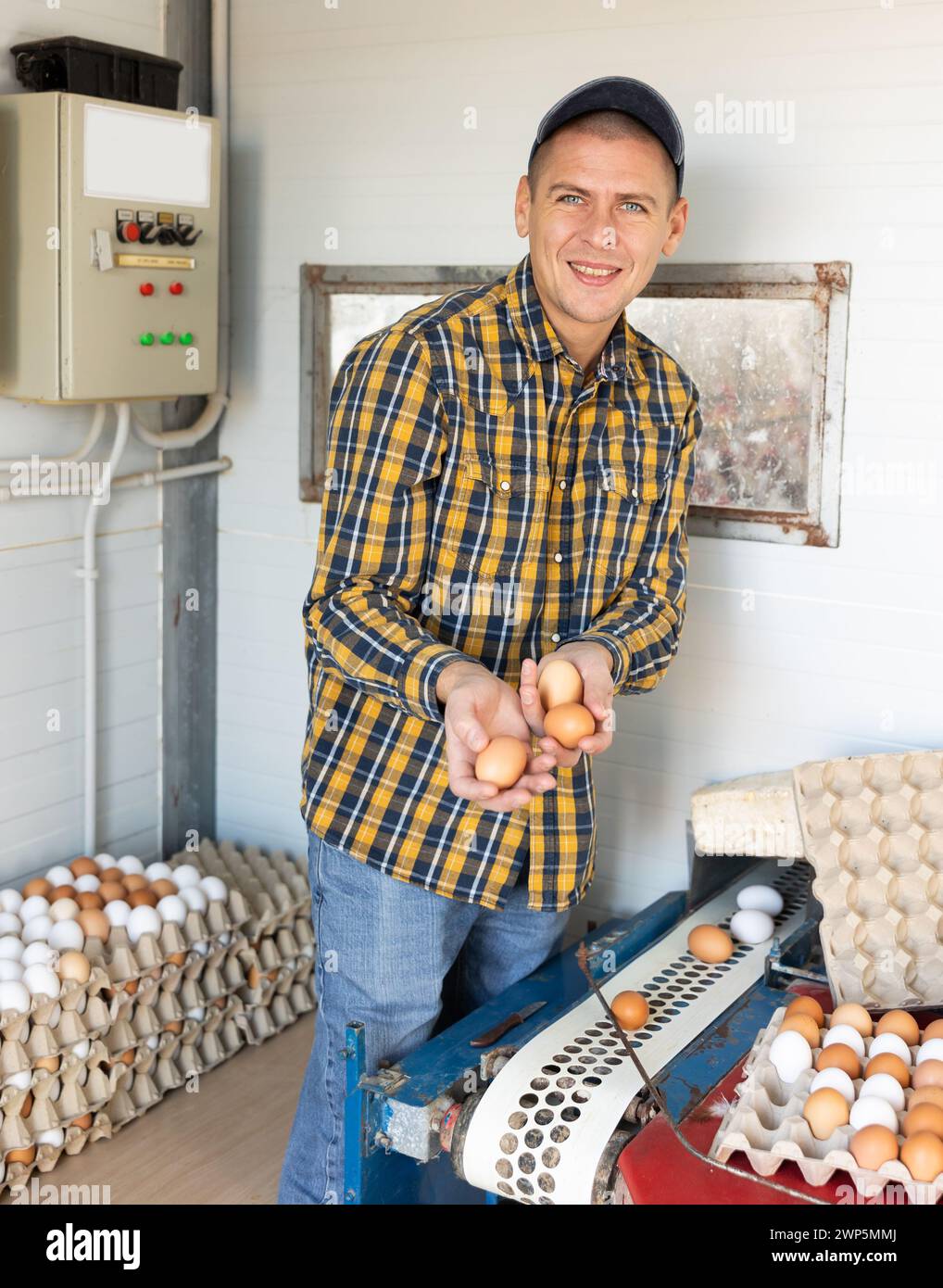 Successful poultry farm owner with chicken eggs near conveyor belt ...