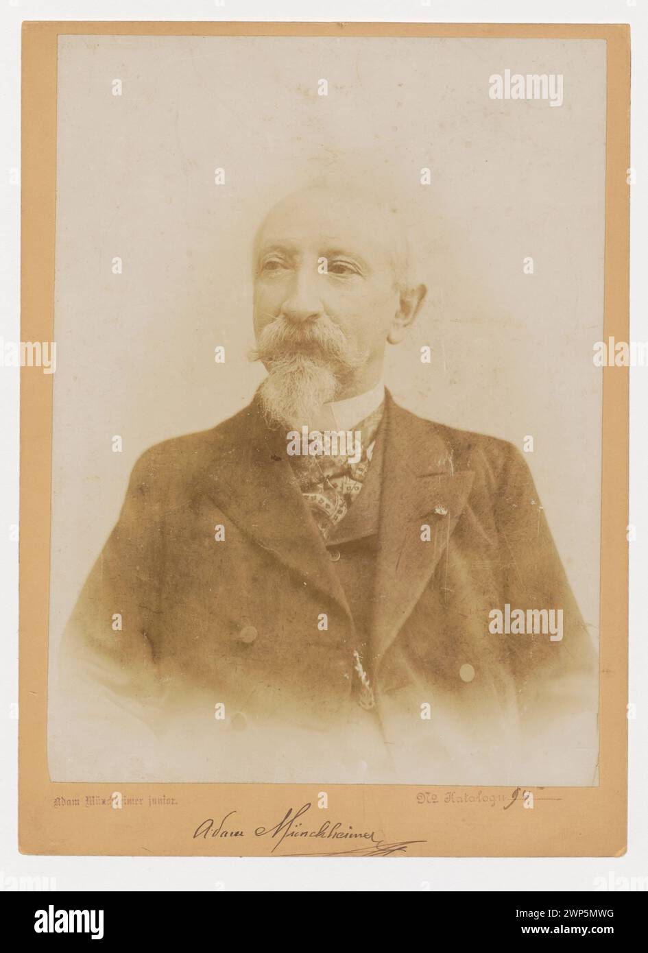 Portrait of Adam Münchheimer (1830-1904), composer, conductor, opera ...