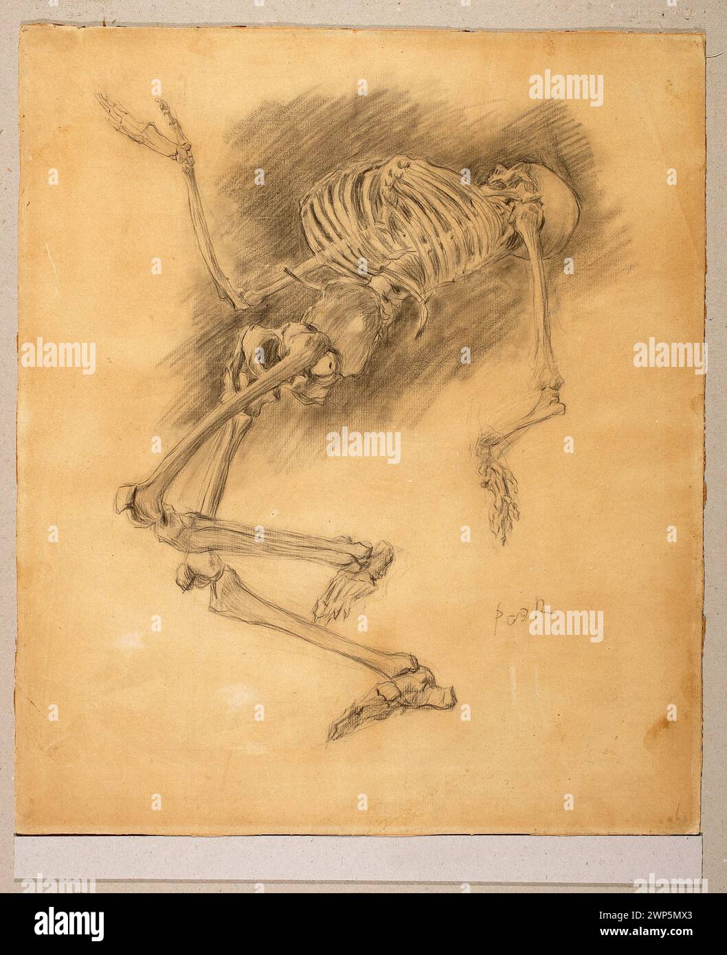 Pismiennych hi-res stock photography and images - Alamy