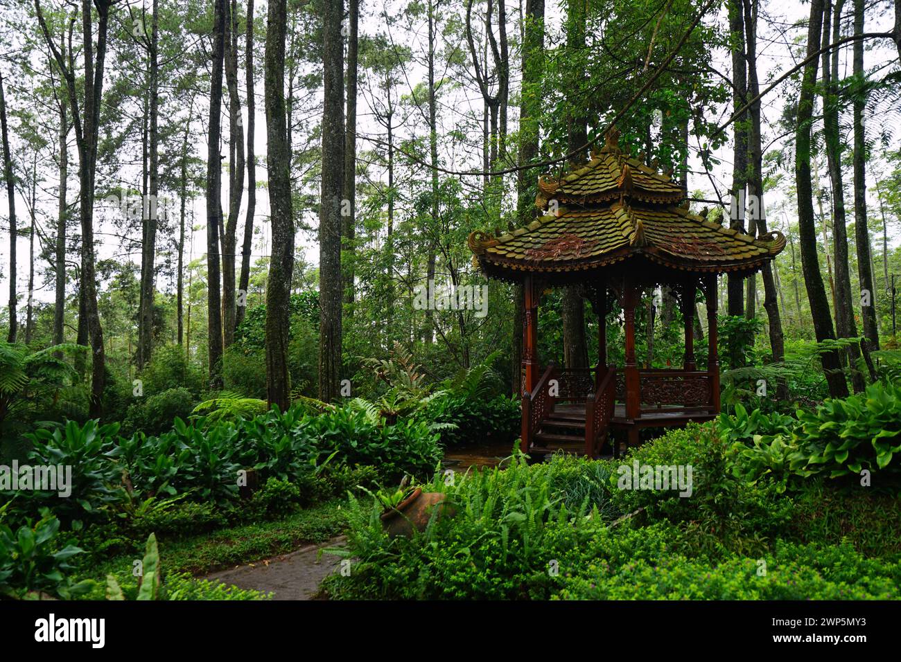 Orchid Forest Park and Garden, Cikole, Lembang, Bandung, West Java ...