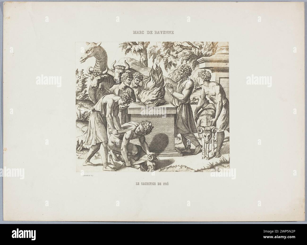 Figure photography:Noah (Bible), Rafael (1483-1520) - reproduction ...