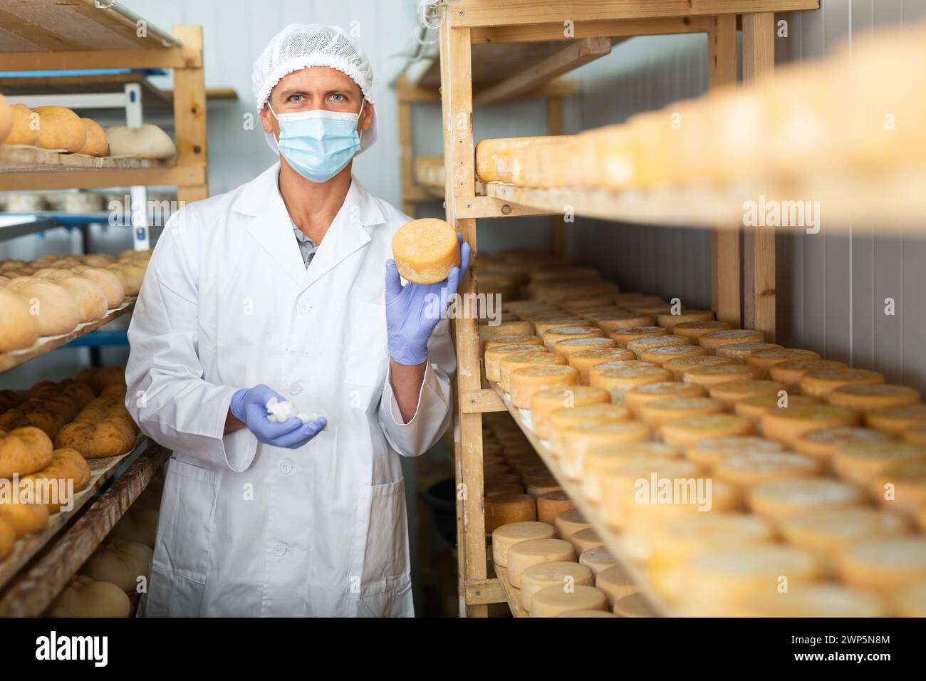 Cheesemaker in mask controlling maturing process of cheese wheels Stock ...