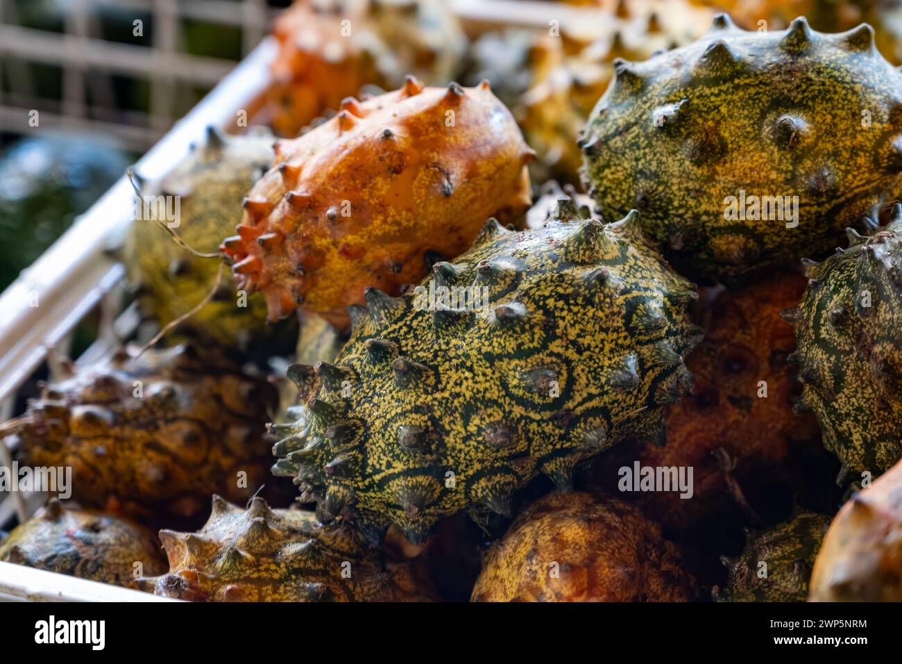 Kiwano tropical fruits, African horned cucumber, horned melon, spiked ...