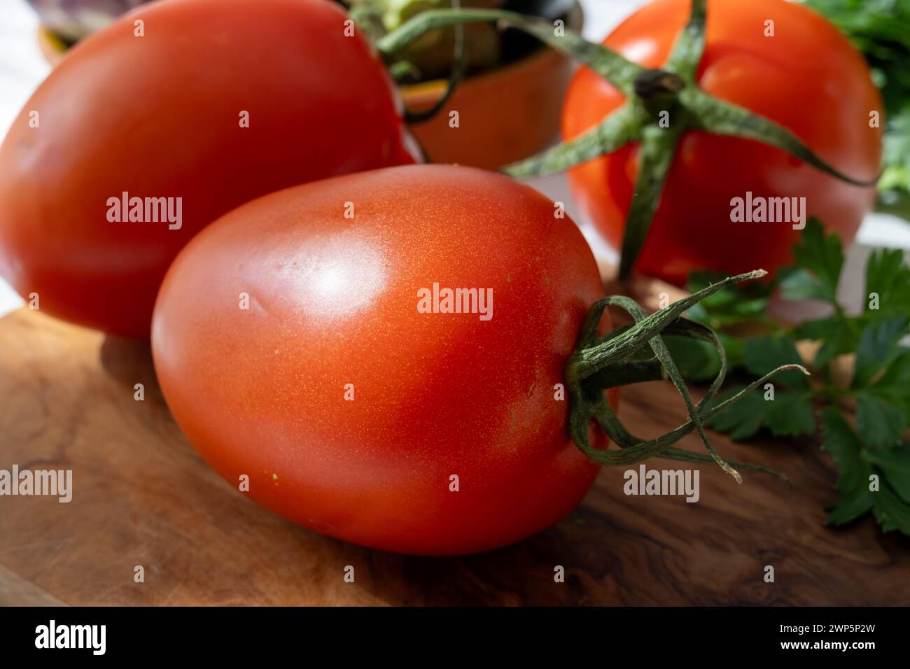 Roma tomatoes harvesting hi-res stock photography and images - Alamy