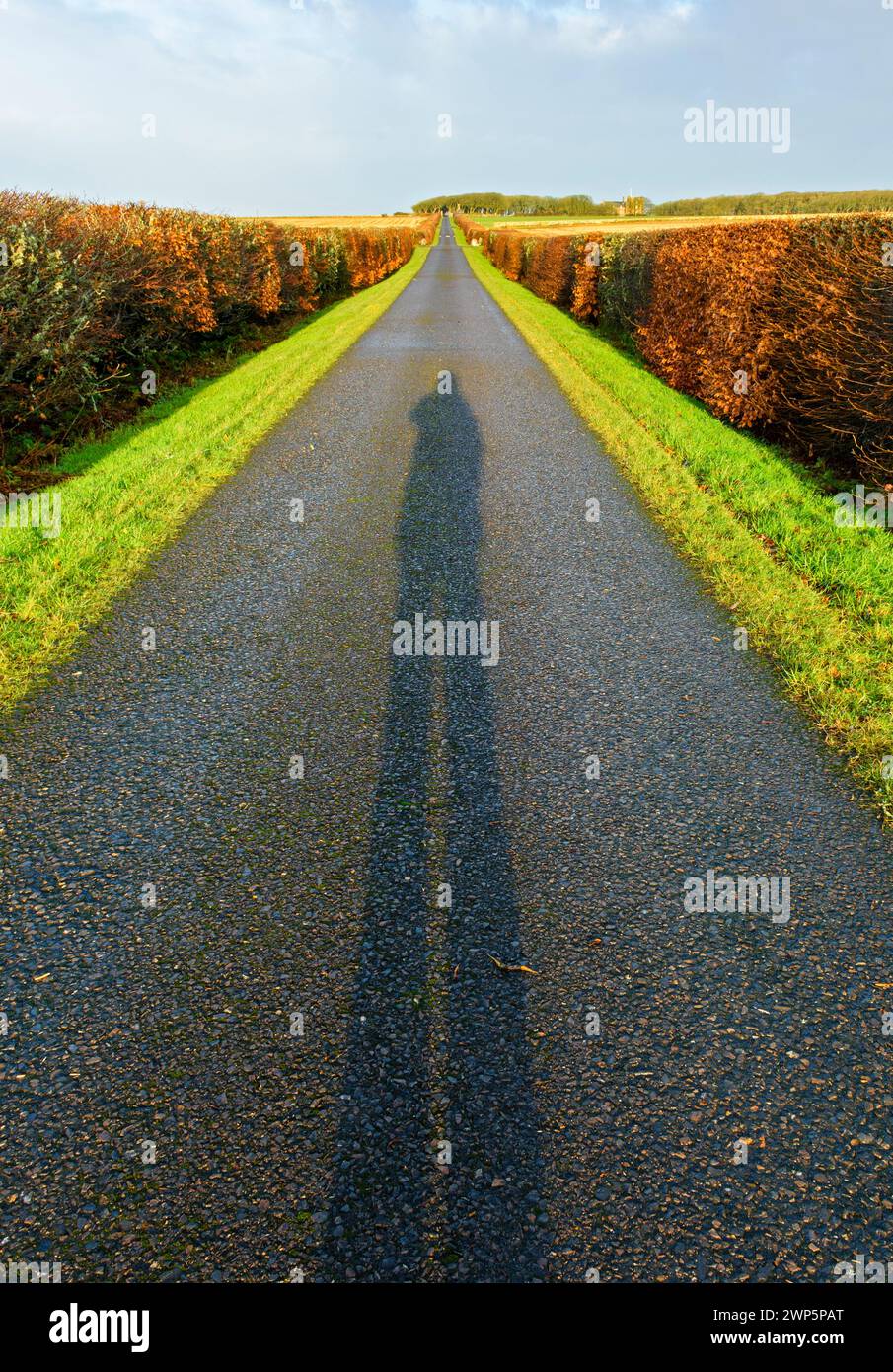Approach road hi-res stock photography and images - Alamy