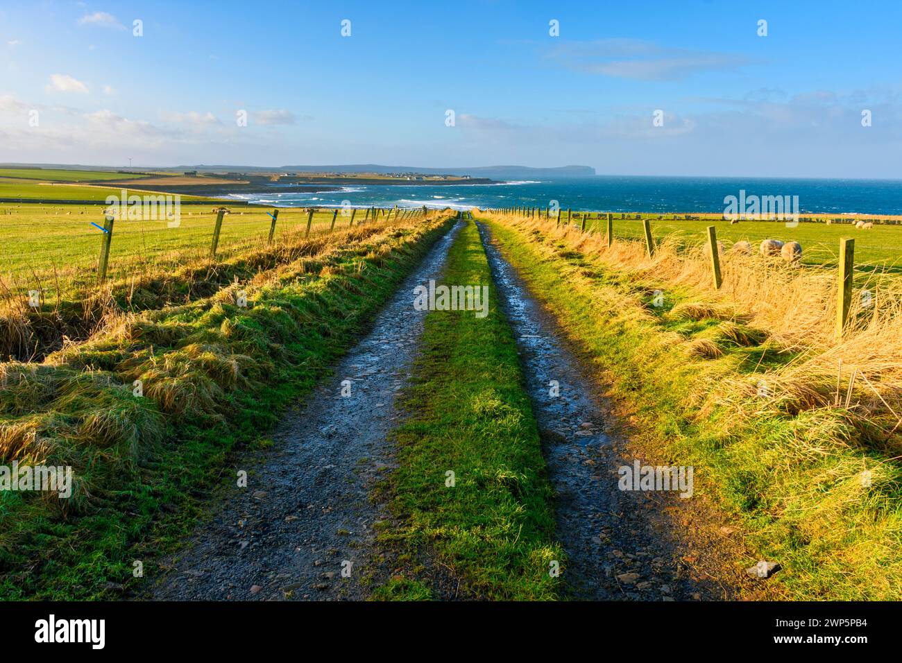 Dunnet head from near village hi-res stock photography and images - Alamy