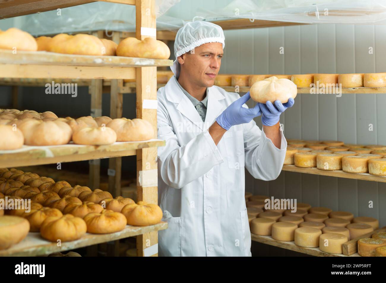 Cheese wheels stacked aging hi-res stock photography and images - Alamy