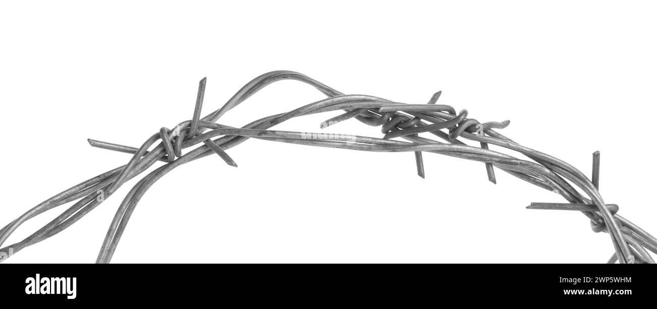 Shiny metal barbed wire isolated on white Stock Photo - Alamy