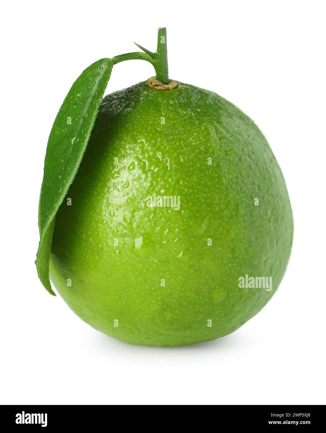 Wet green ripe lime with leaf isolated on white Stock Photo - Alamy