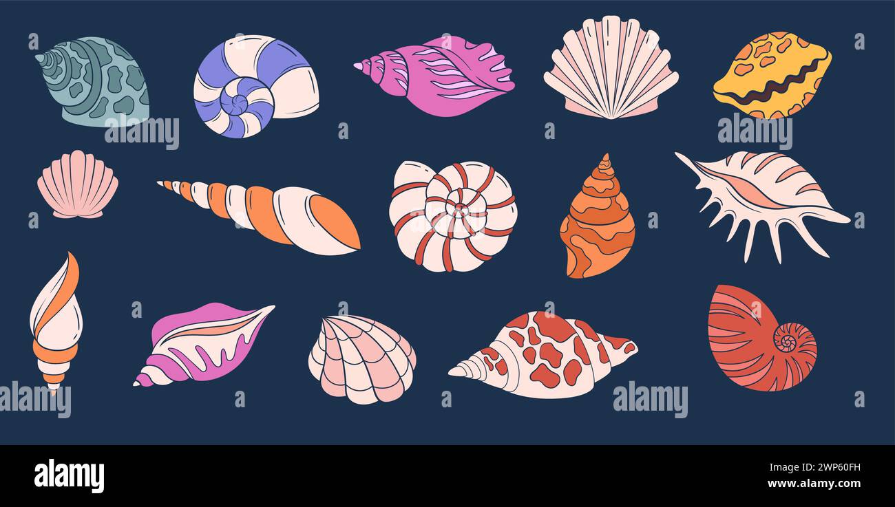 Set of seashells vector Stock Vector Image & Art - Alamy