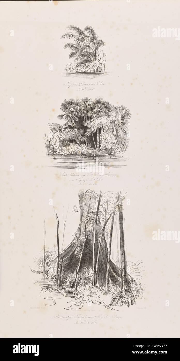 Rio jupati hi-res stock photography and images - Alamy