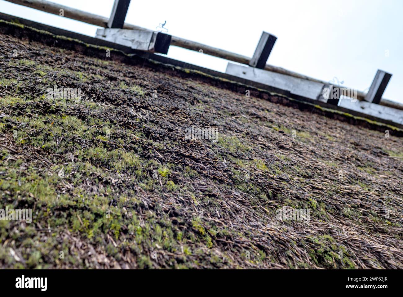 Traditional thatched roof houses of Miyama village in Kyoto Prefecture ...