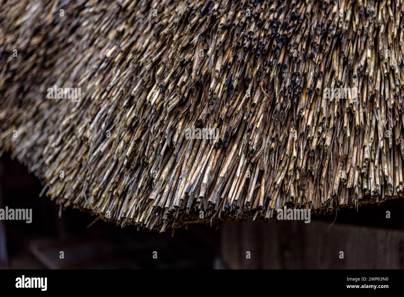 Traditional thatched roof houses of Miyama village in Kyoto Prefecture ...