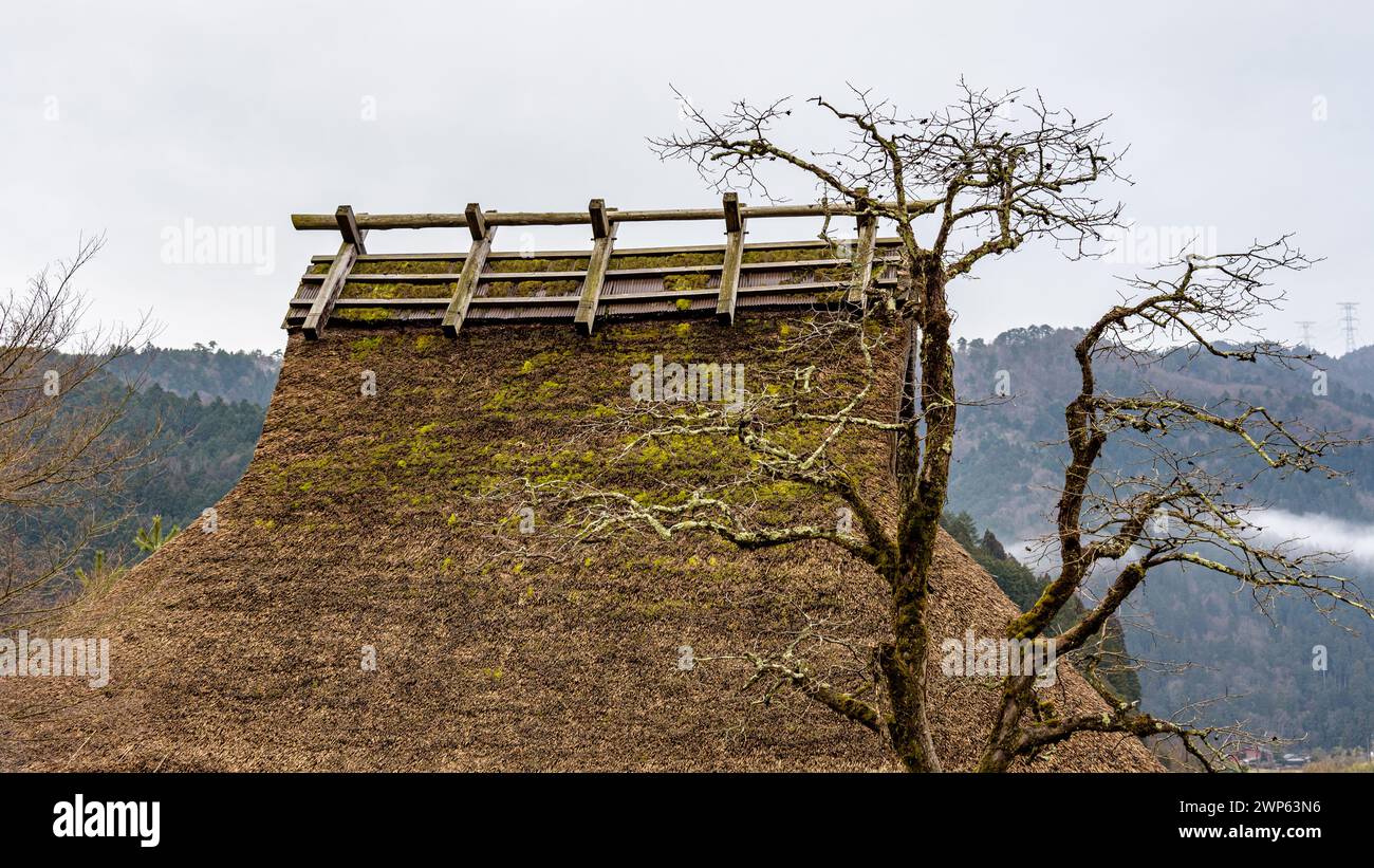 Traditional thatched roof houses of Miyama village in Kyoto Prefecture ...