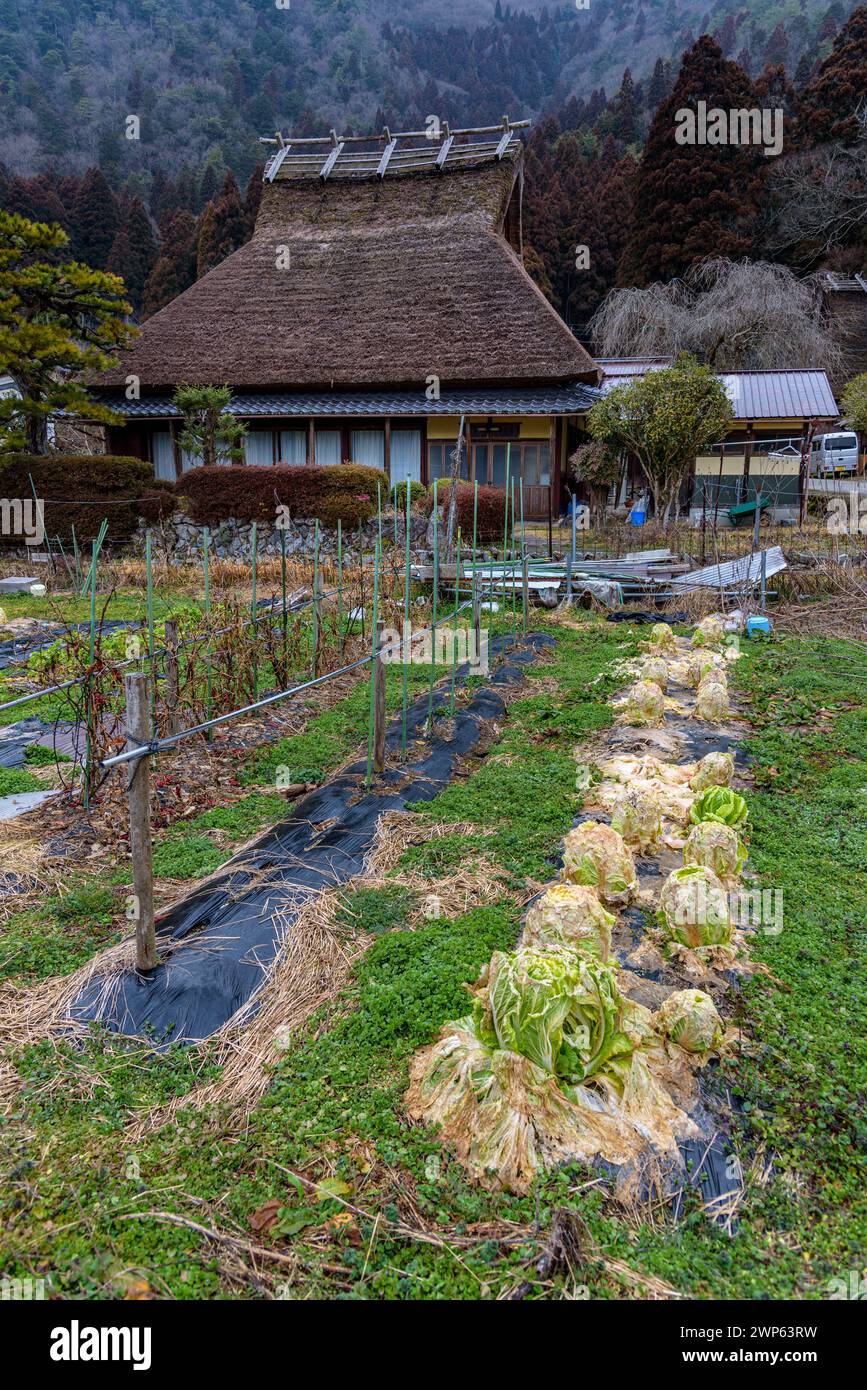 Traditional thatched roof houses of Miyama village in Kyoto Prefecture ...