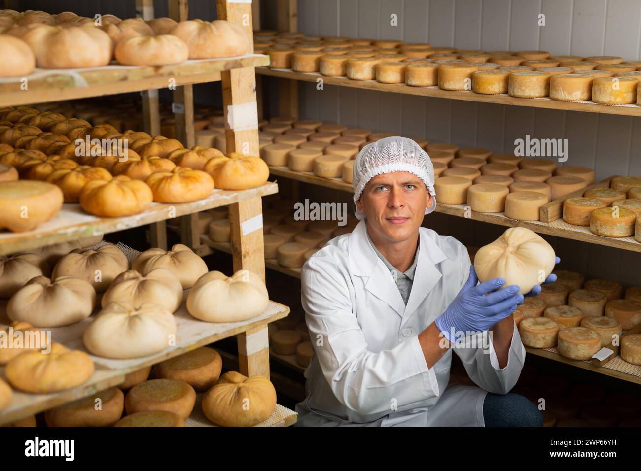 Cheesemaker checking aging process of cheese in maturing chamber Stock ...