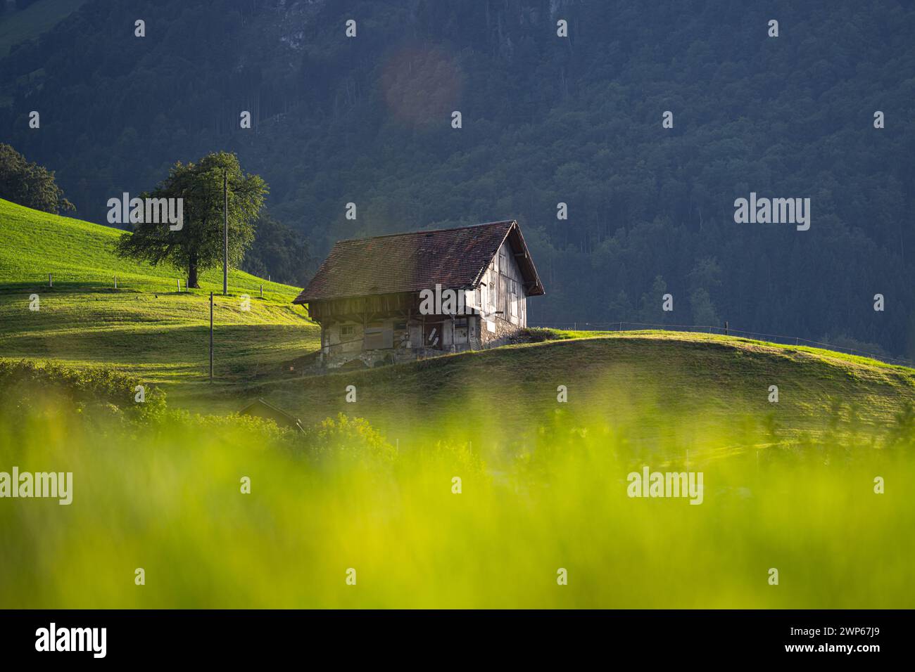 Alps old wooden house. Old House in the European Alps. Old Cabin in the ...