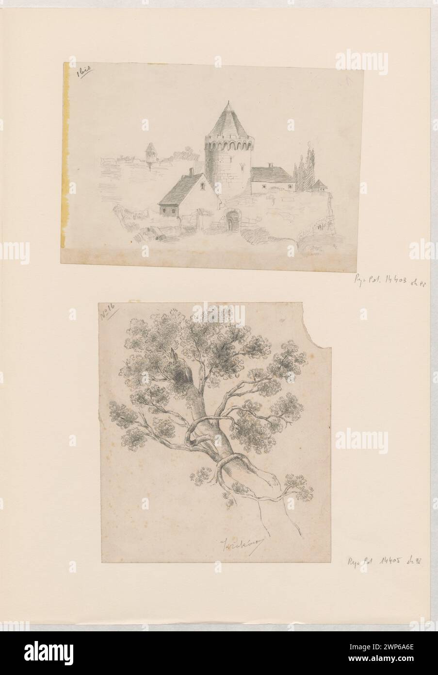 Leopold 1882 1972 collection hi-res stock photography and images - Alamy