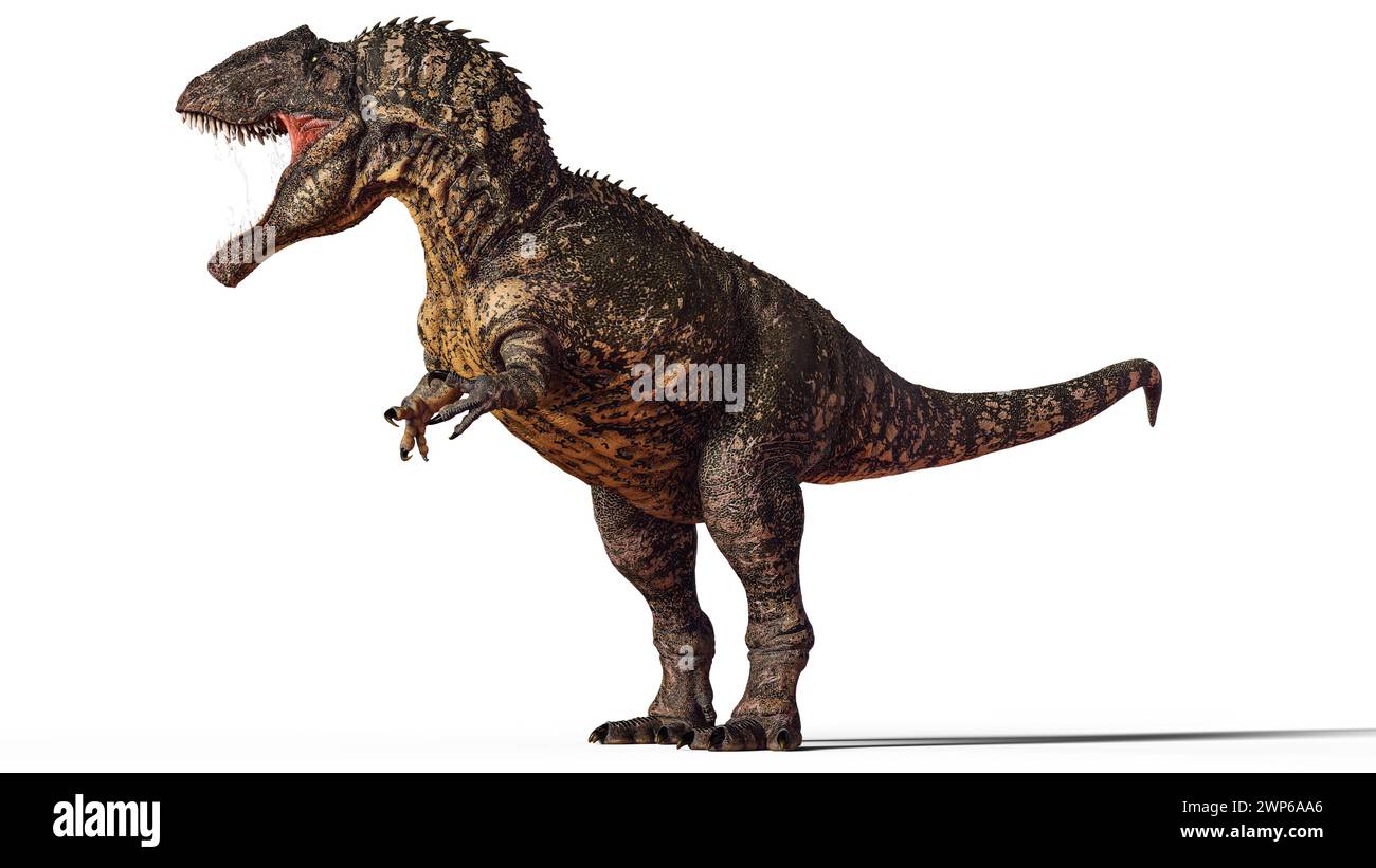 Gigantosaurus is a dubious genus of sauropod dinosaur from the Late ...
