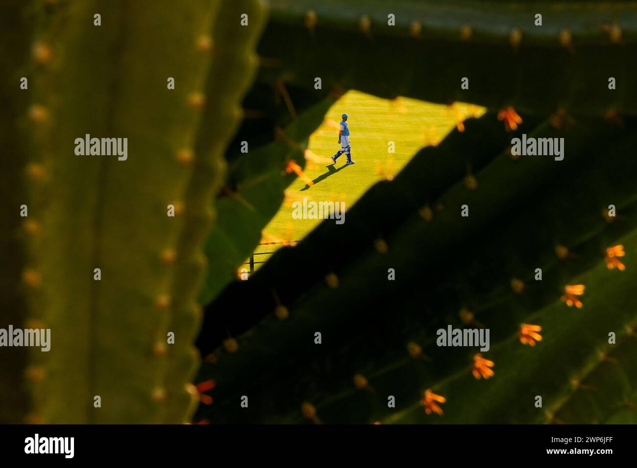 Kansas City Royals catcher Austin Nola walks in the outfield before a ...
