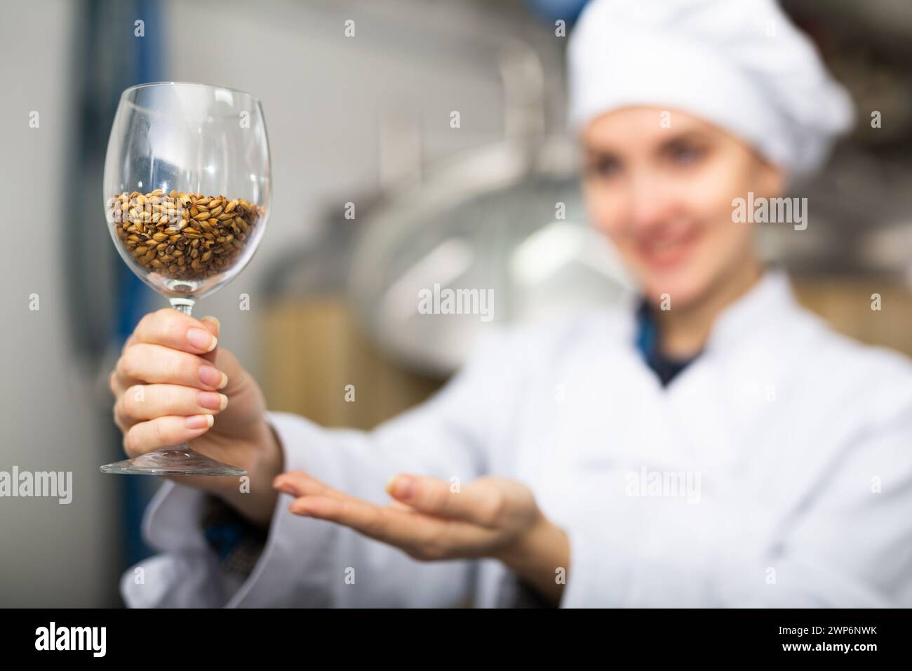Glass with malted barley grain in hands of female brewmaster Stock ...