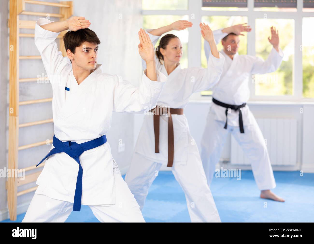 Athletes have starting position and repeating sequence of punches and ...