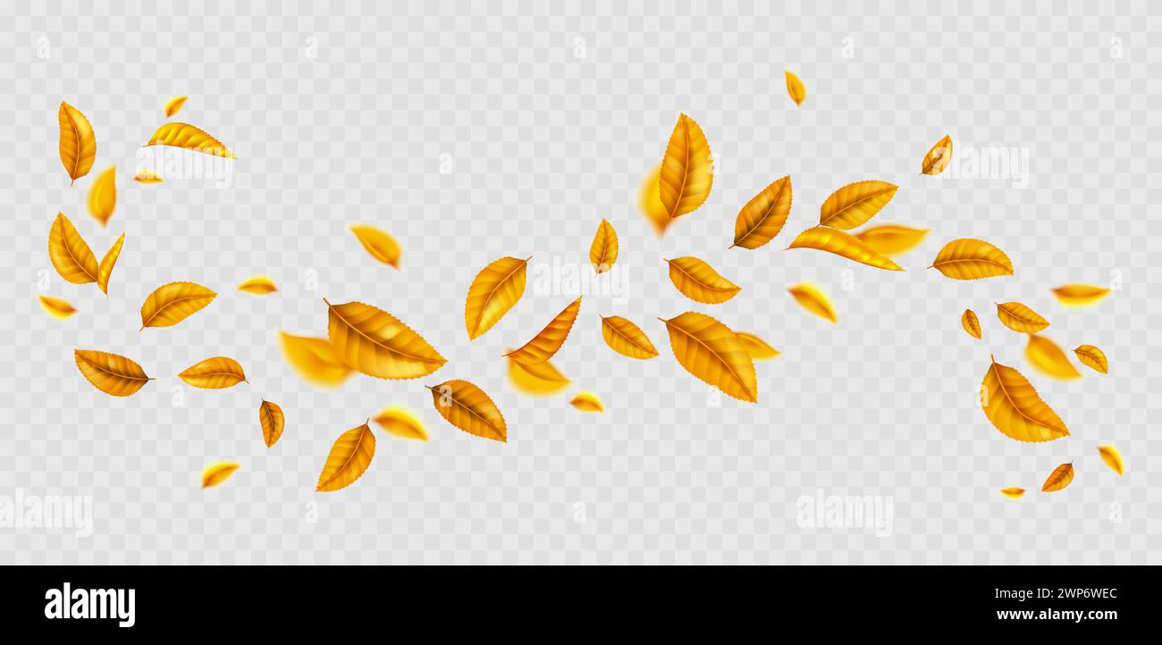 Flying yellow leaf curly wave line on transparent background. Realistic vector illustration of ...