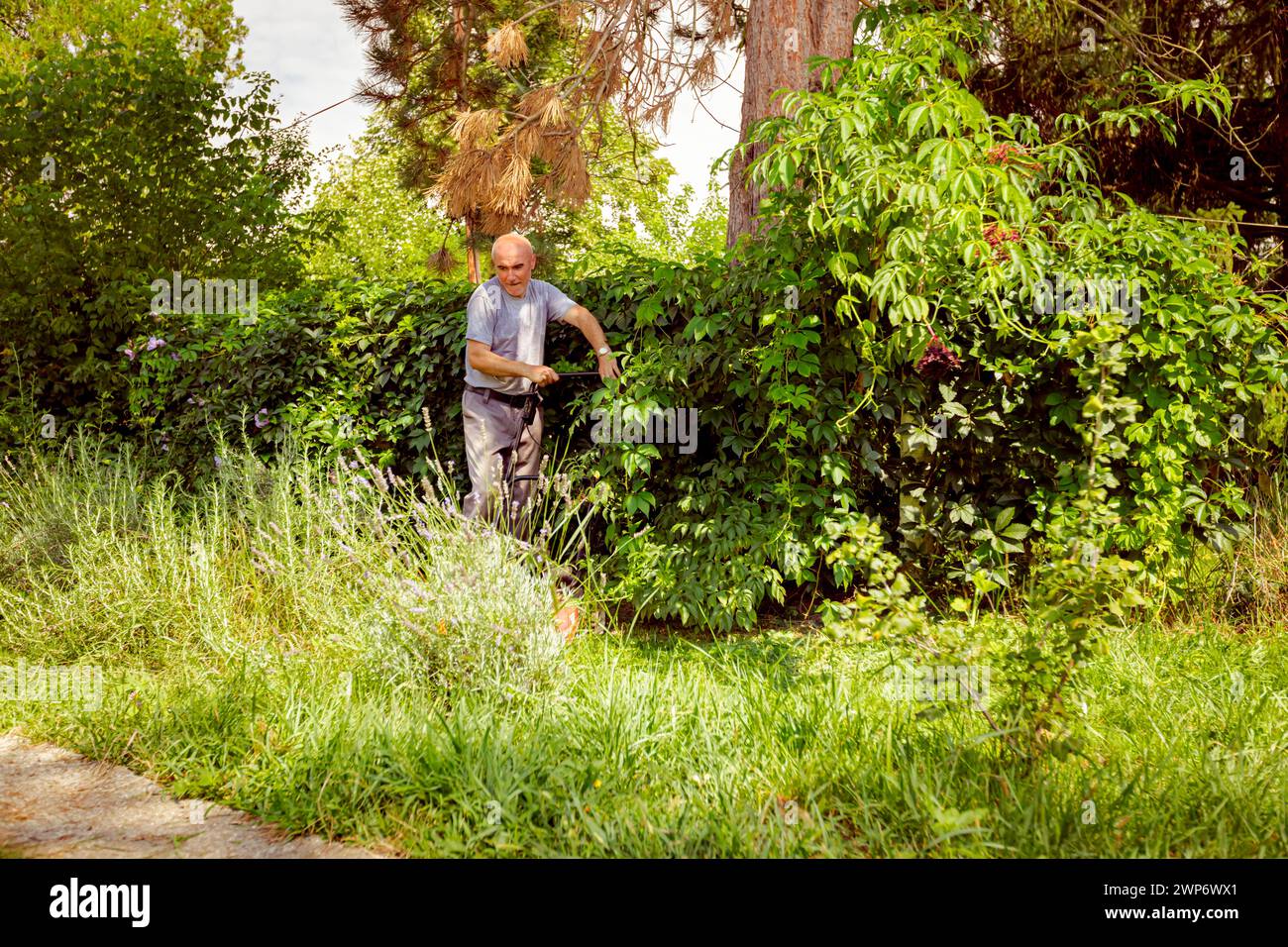 Mowing lawn manually push mower hi-res stock photography and images - Alamy