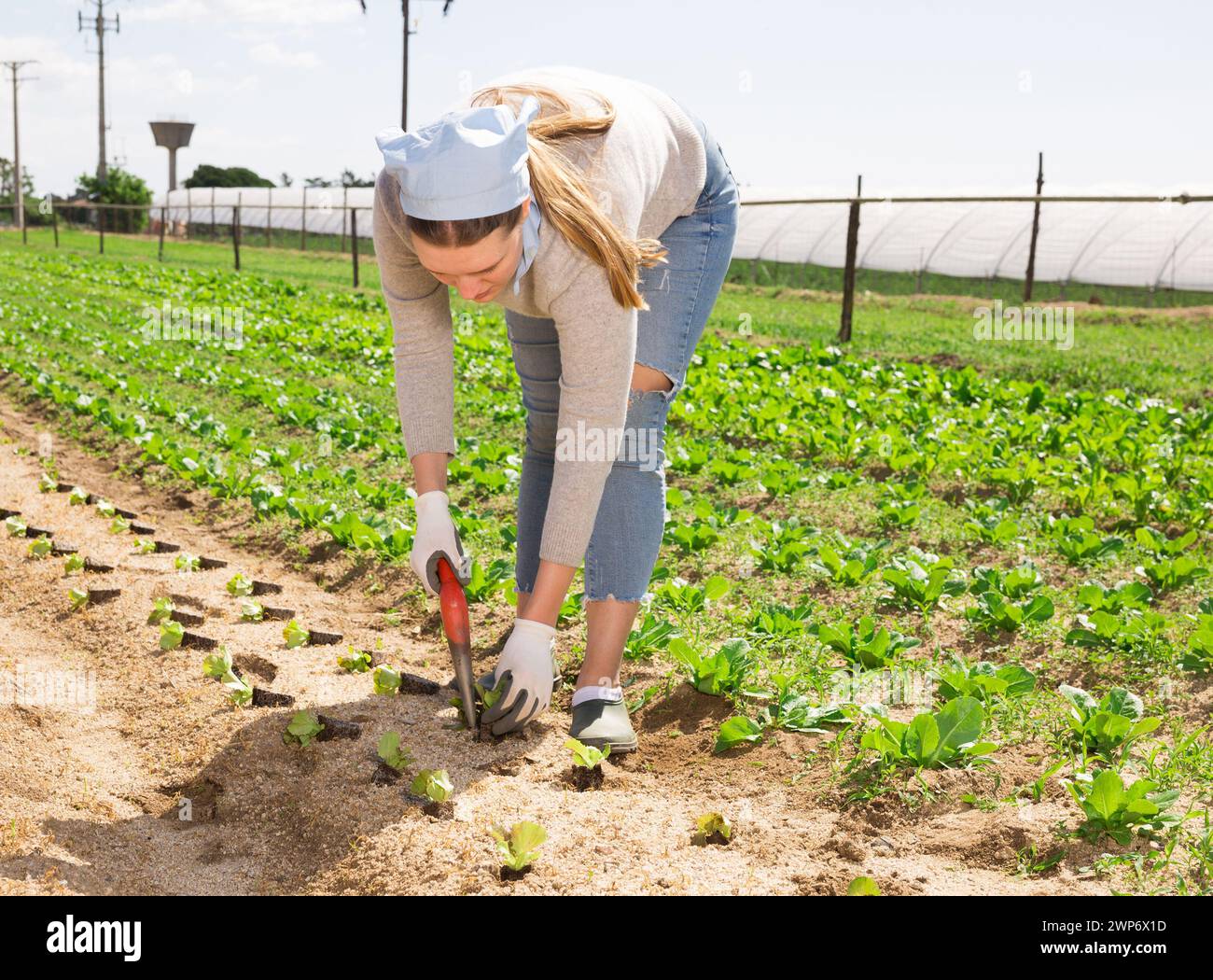 Portrait of positive woman working in homestead Stock Photo - Alamy