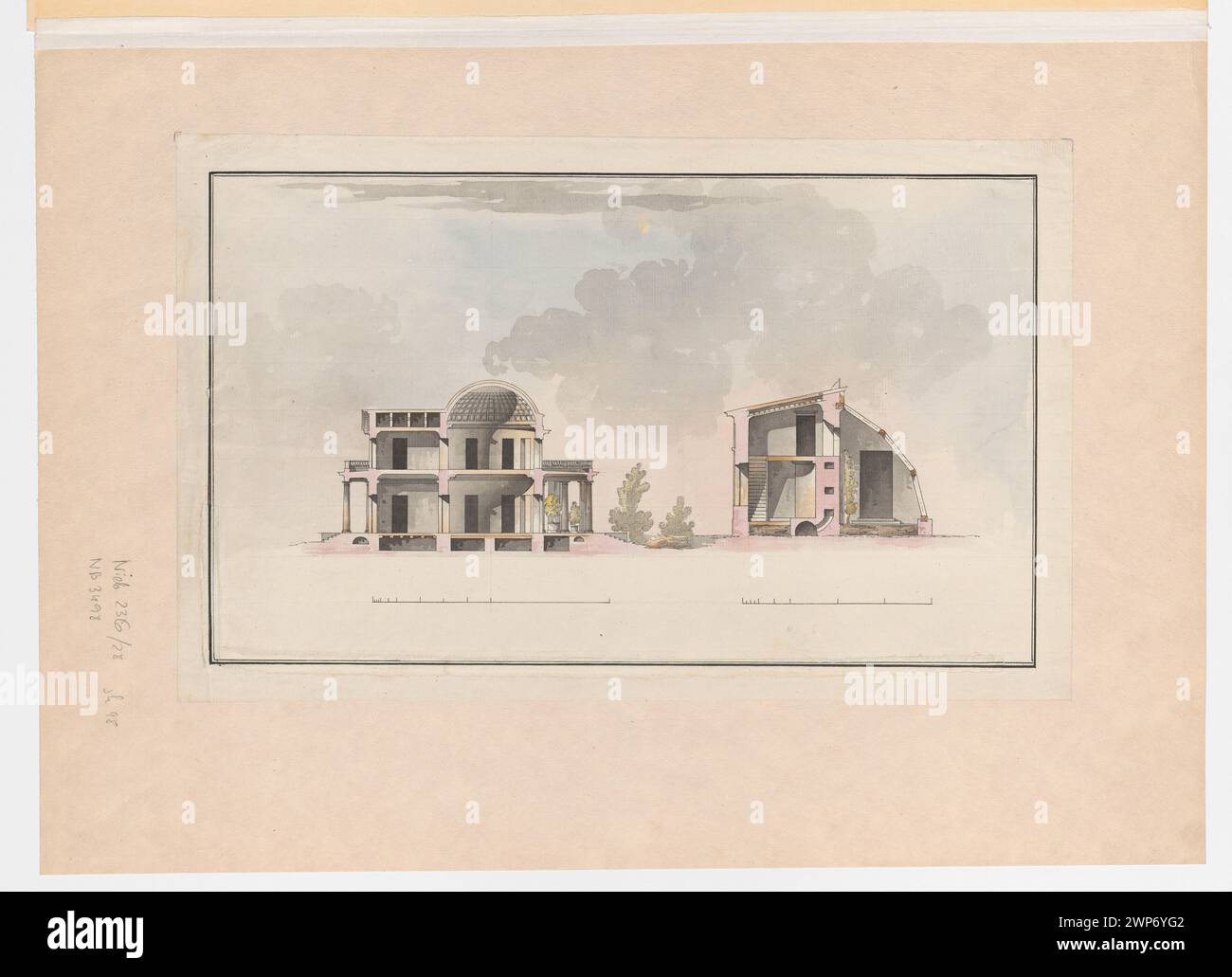 Complex body plan hi-res stock photography and images - Alamy