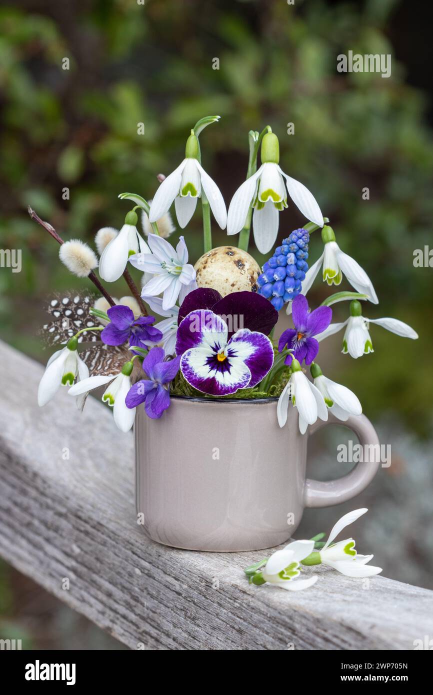 flower arrangement with purple viola flowers, violets, snowdrops and ...