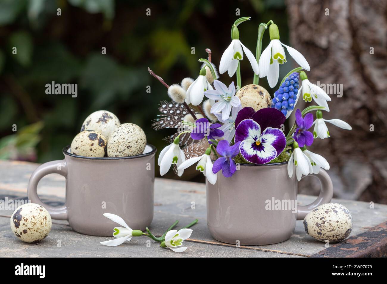 flower arrangement with purple viola flowers, violets, snowdrops and ...