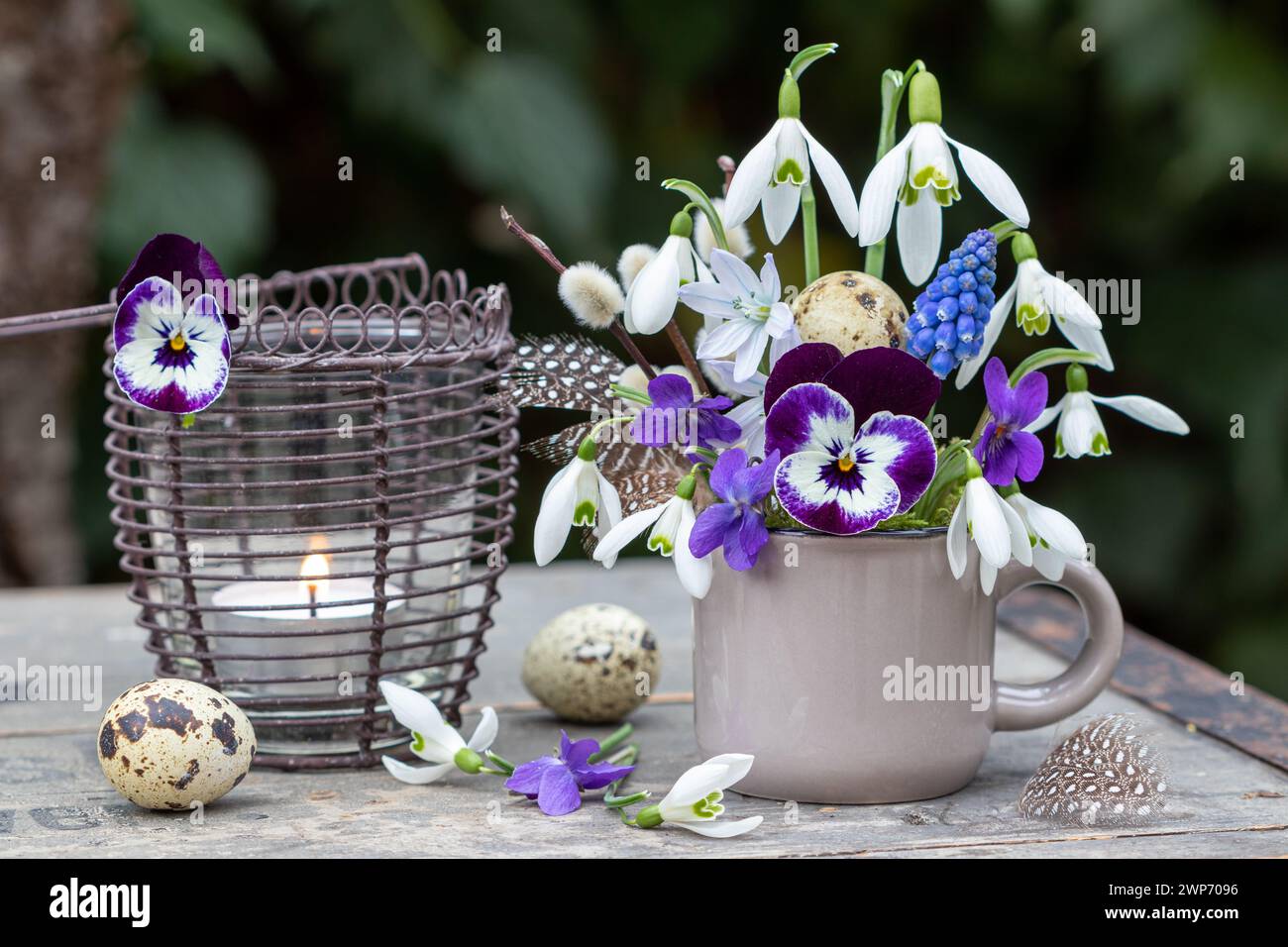 flower arrangement with purple viola flowers, violets, snowdrops and ...